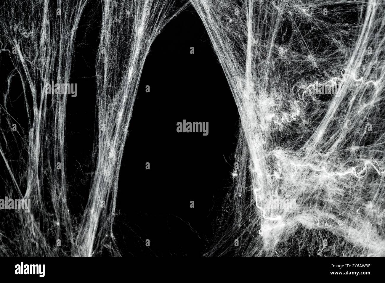 Spooky creepy cobweb spiders web covered a black background. Abstract ...