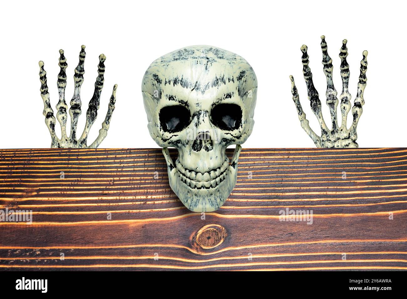 The human skeleton is sitting on a wooden table with its scary smile on ...