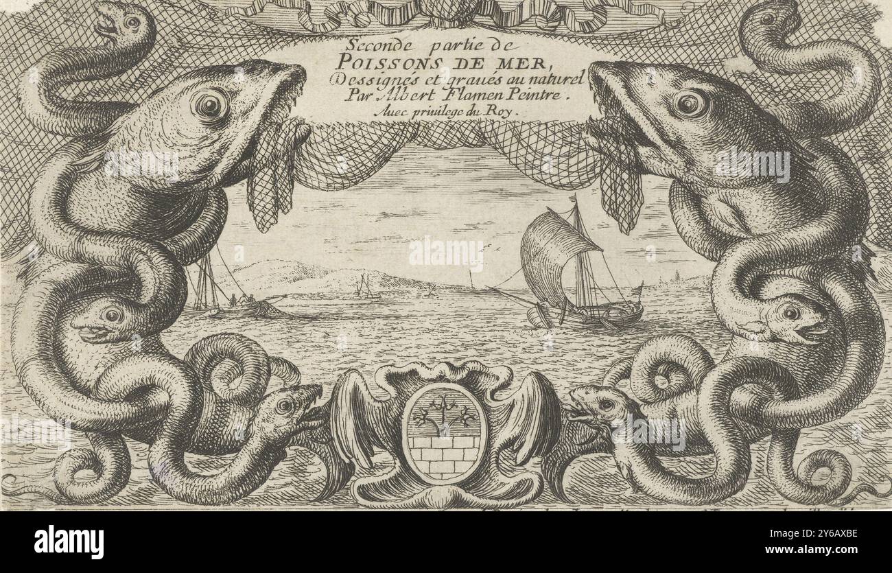 Sea animals saltwater second series hi-res stock photography and images ...