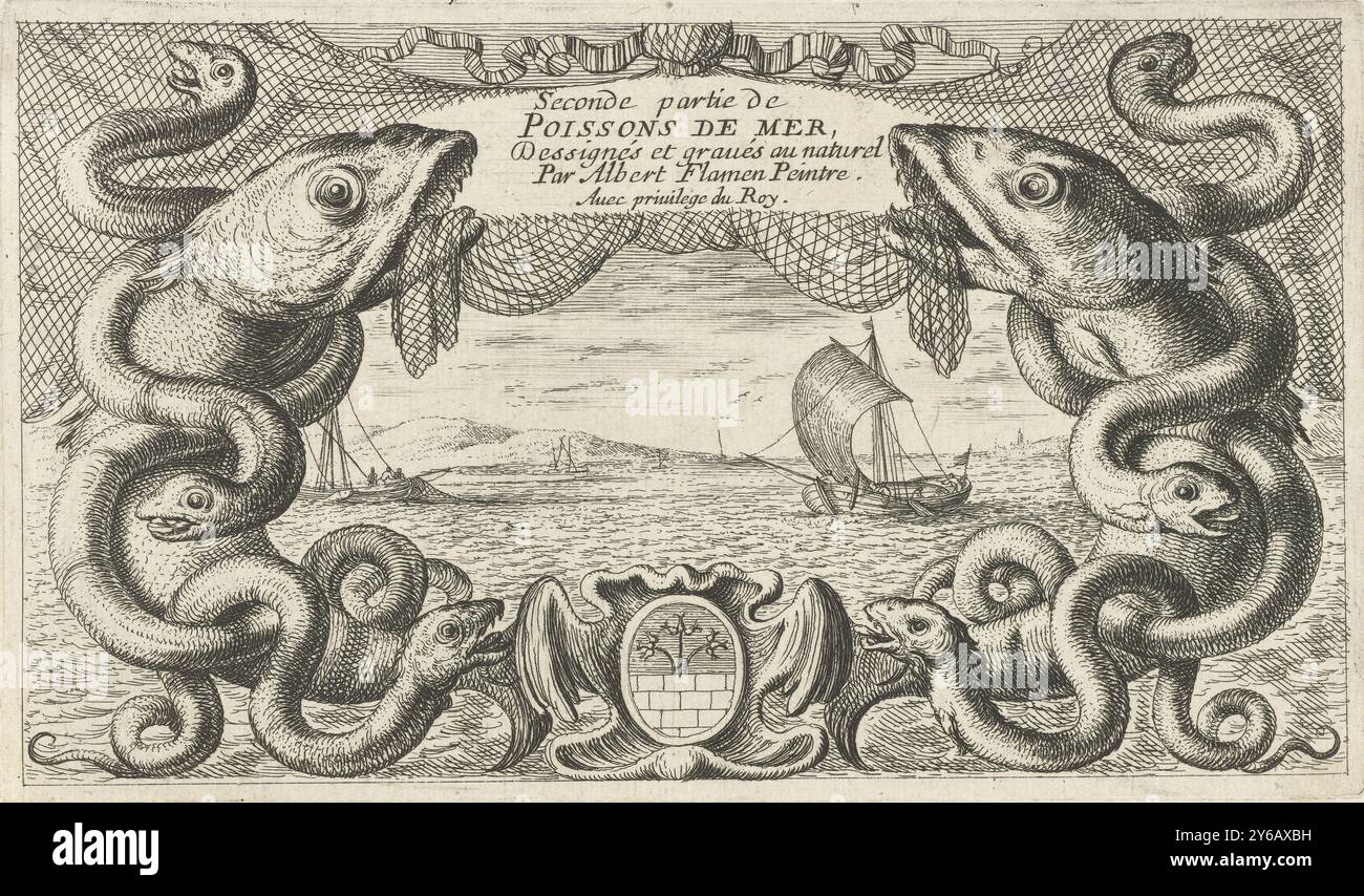 Sea animals saltwater second series hi-res stock photography and images ...