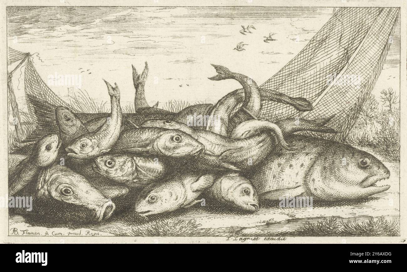 Diverse especes de poissons de mer hi-res stock photography and images ...