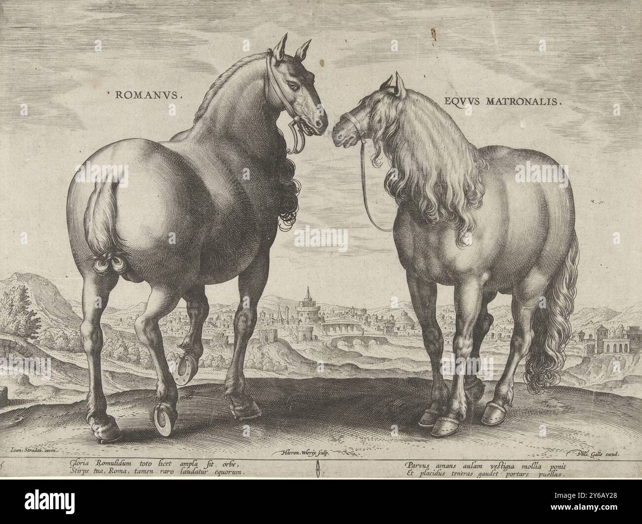 Horse from Rome and a surrogate mare, Romanvs Eqvvs Matronalis (title ...