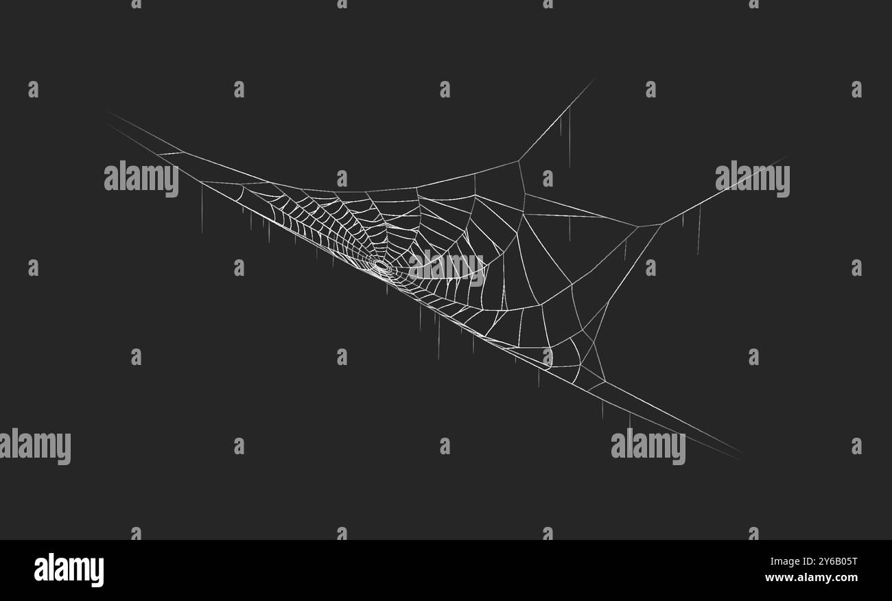 Mysterious spider web in dark corner realistic vector icon Stock Vector ...