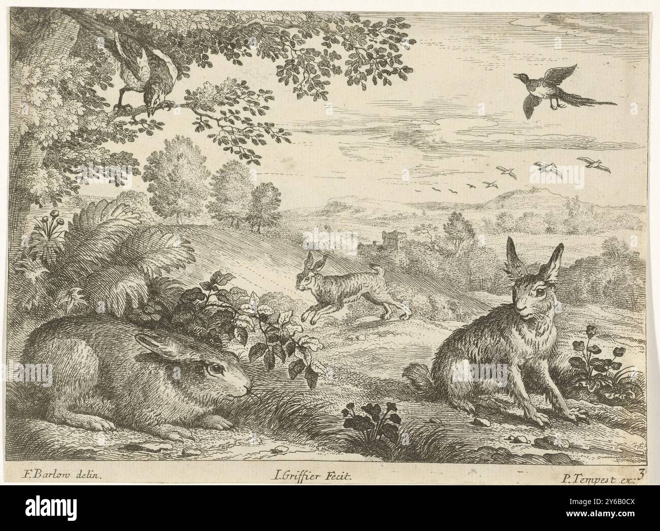 Third hare hops hi-res stock photography and images - Alamy