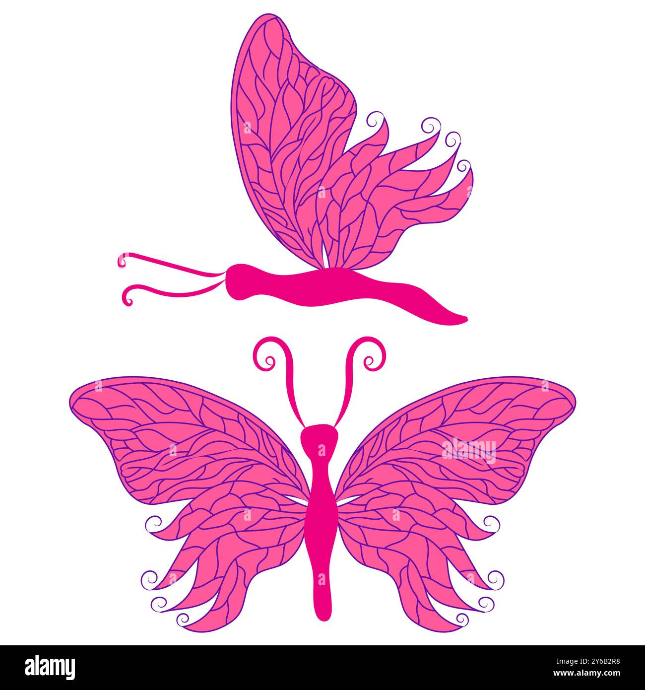 Butterfly with open wings and closed wings. Vector illustration ...