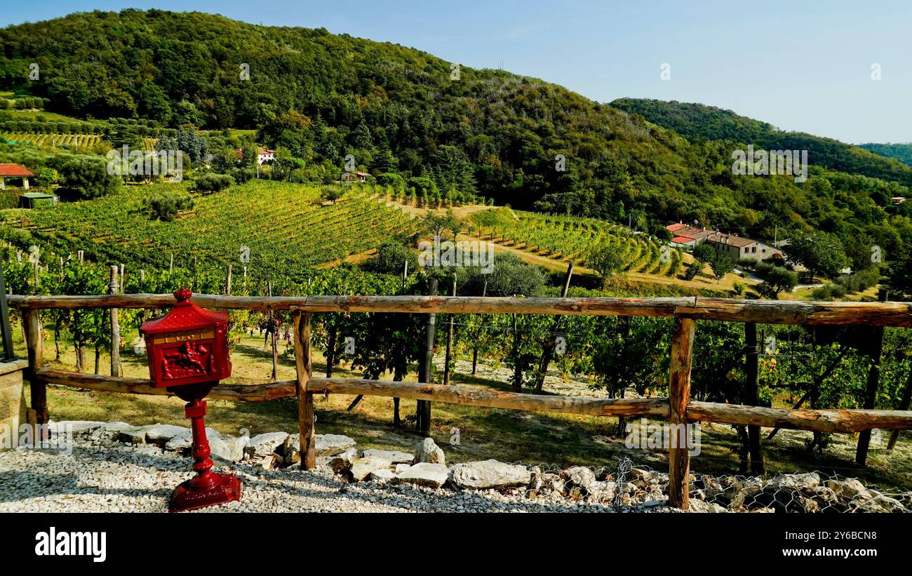 The vineyards of the Euganean Hills. Euganean Hills Regional Park ...