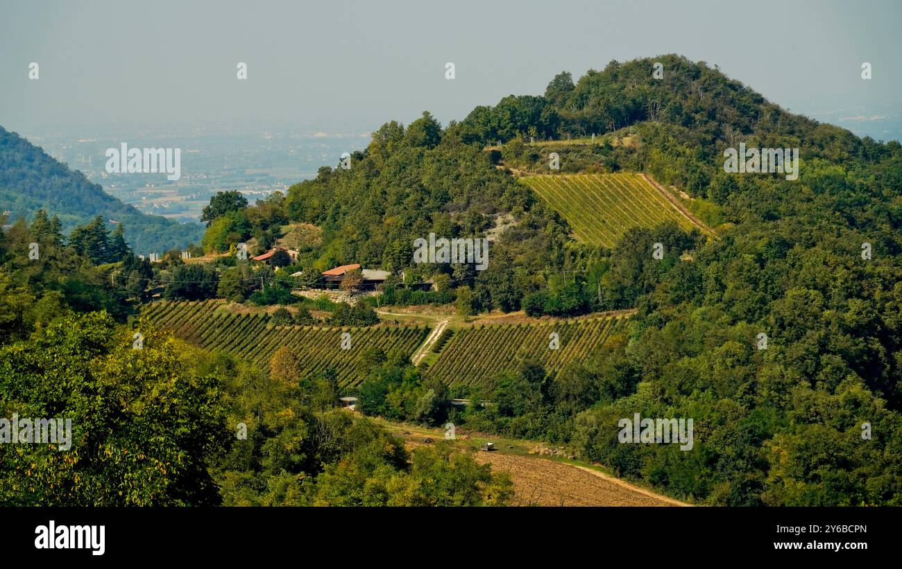 The vineyards of the Euganean Hills. Euganean Hills Regional Park ...