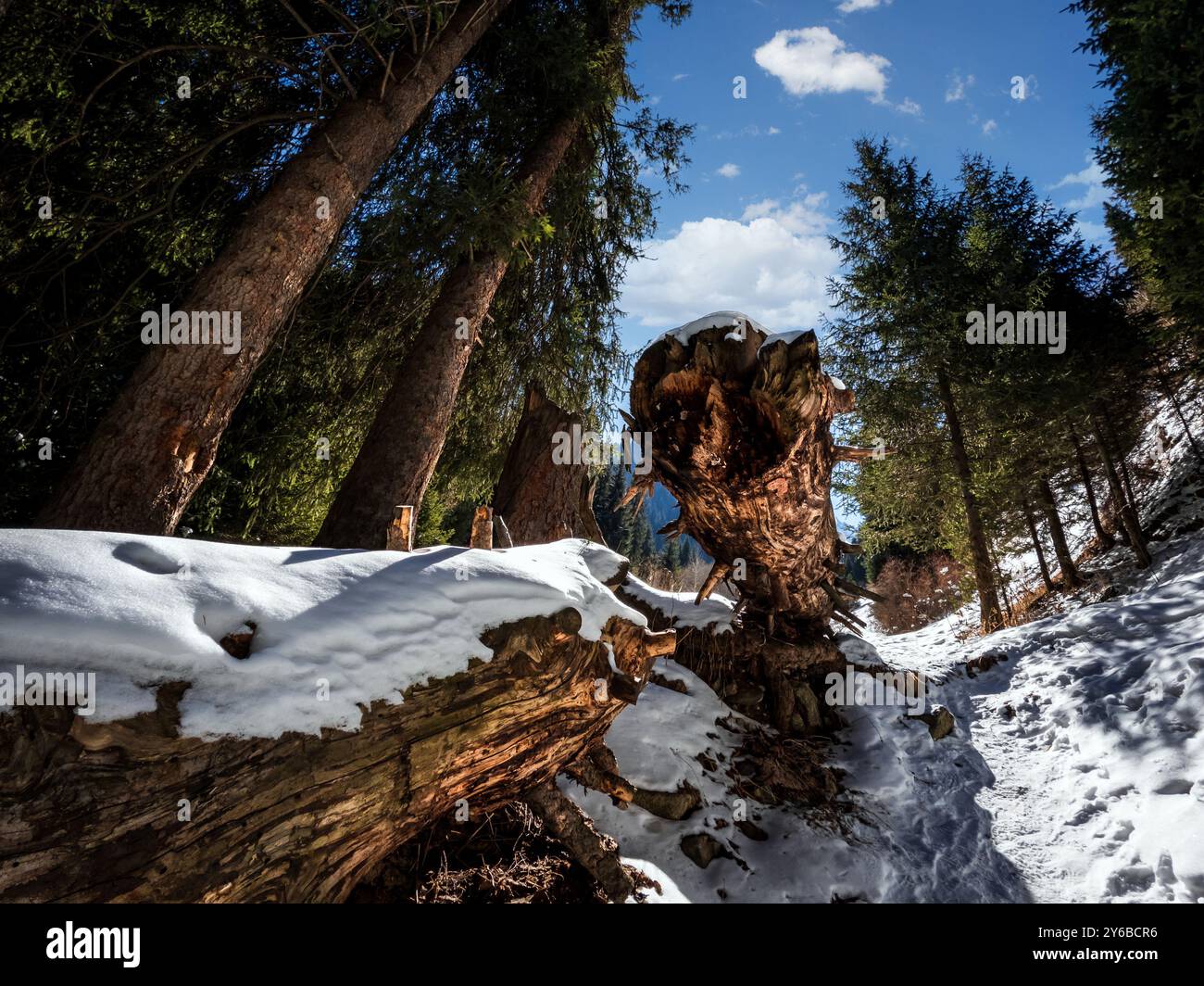 Scenic hiking trail along the winter Bear Gorge in the Almaty region of ...
