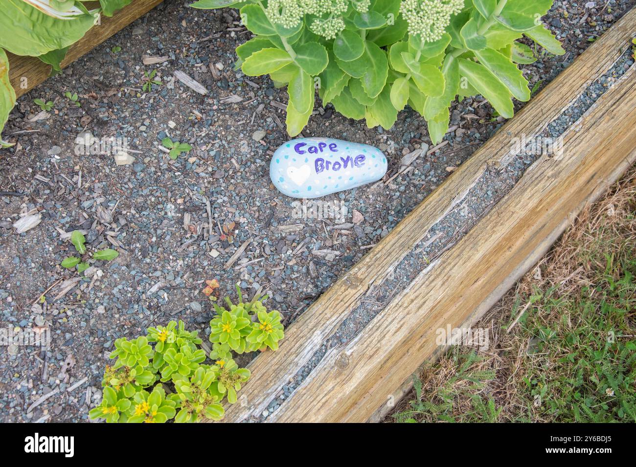 Painted rock inside the planter box at the welcome sign on NL 10 in ...