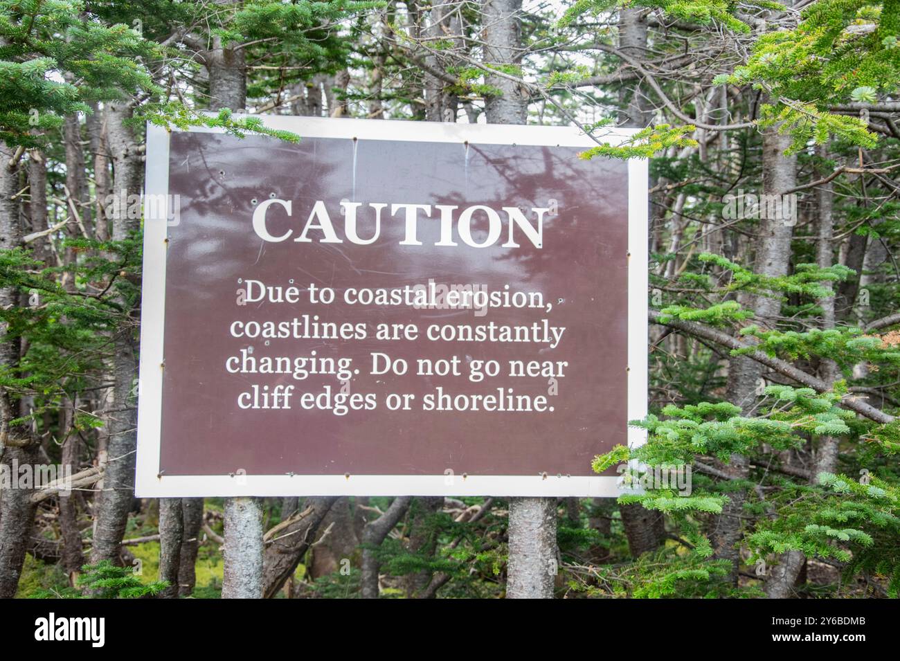 Caution sign of coastal erosion near cliff edges posted on two trees on ...