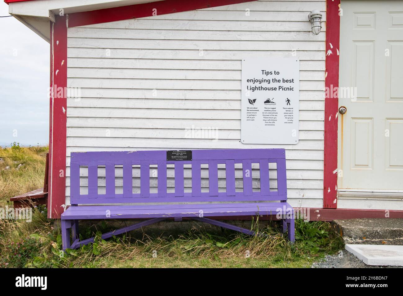 Purple wooden bench at the lighthouse in Ferryland, Newfoundland ...