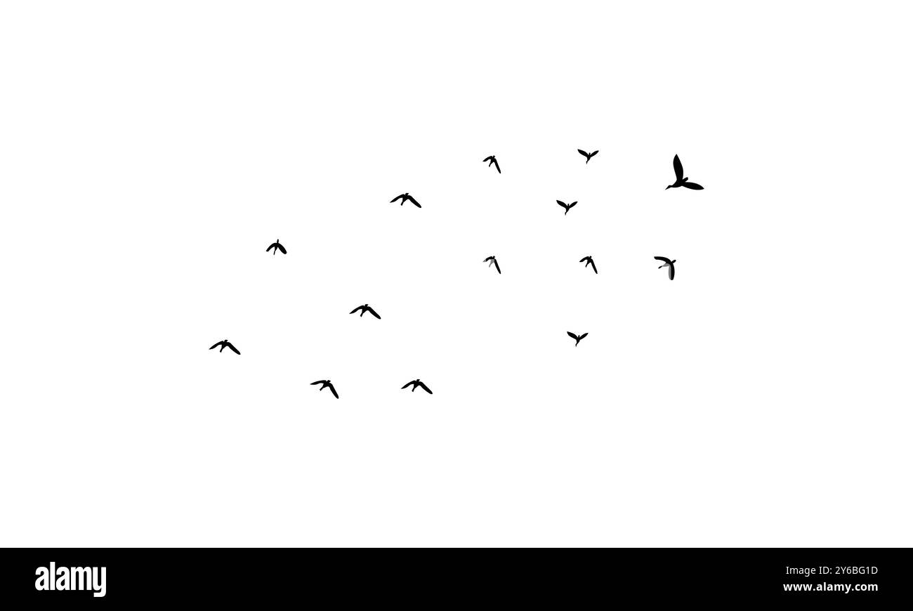 Flying Birds Vector Illustration Collection Stock Vector Image & Art ...