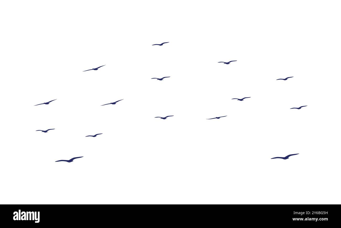 Flying Birds Vector Illustration Collection Stock Vector Image & Art ...