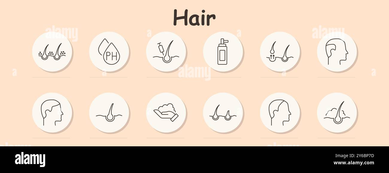 Hair set icon. Hair follicle, pH balance, serum, treatment, scalp, loss ...