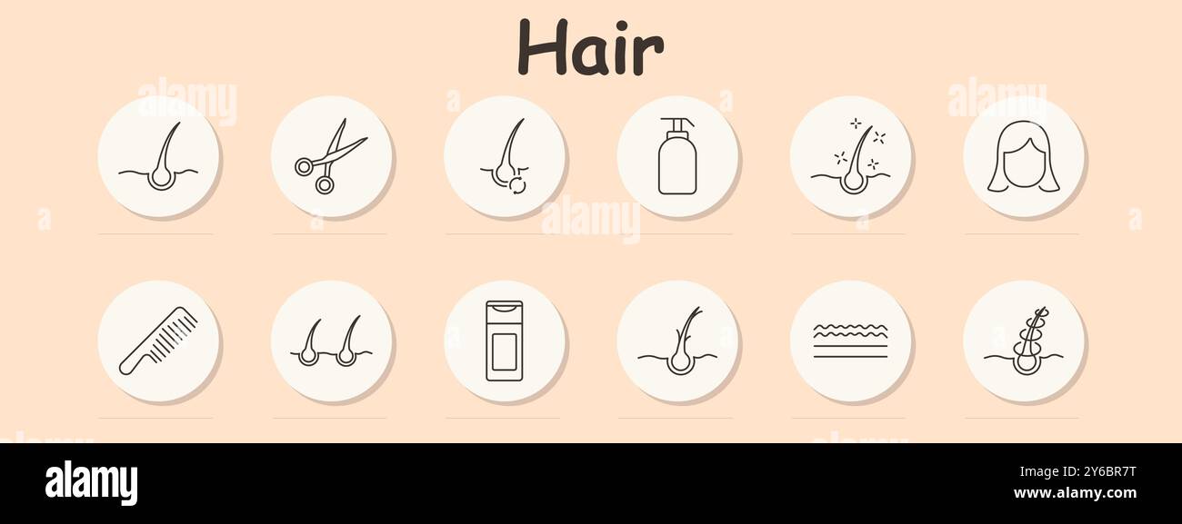 Hair set icon. Hair follicle, scissors, root, shampoo, healthy scalp ...