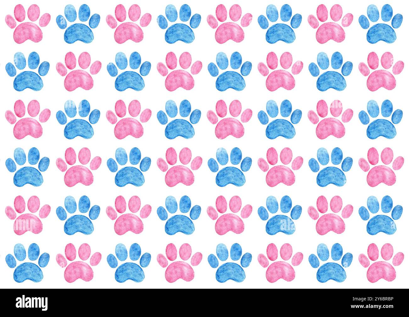 A pattern of pet paw footprints. Pink and blue color. Colors alternate ...