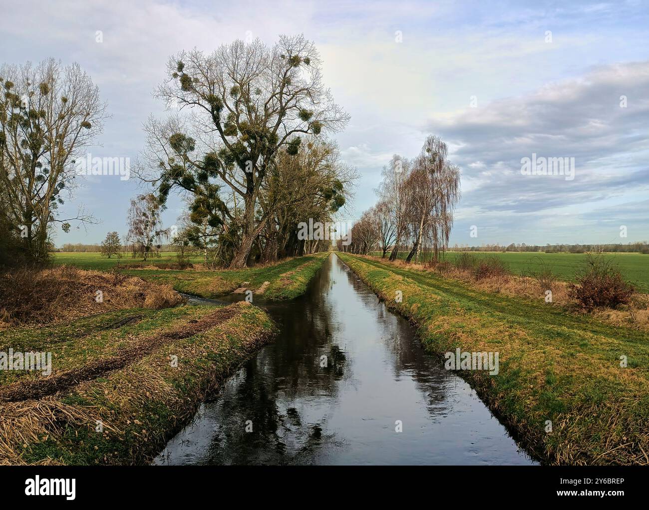drainage ditch for lowering groundwater levels with a lateral inflow ...