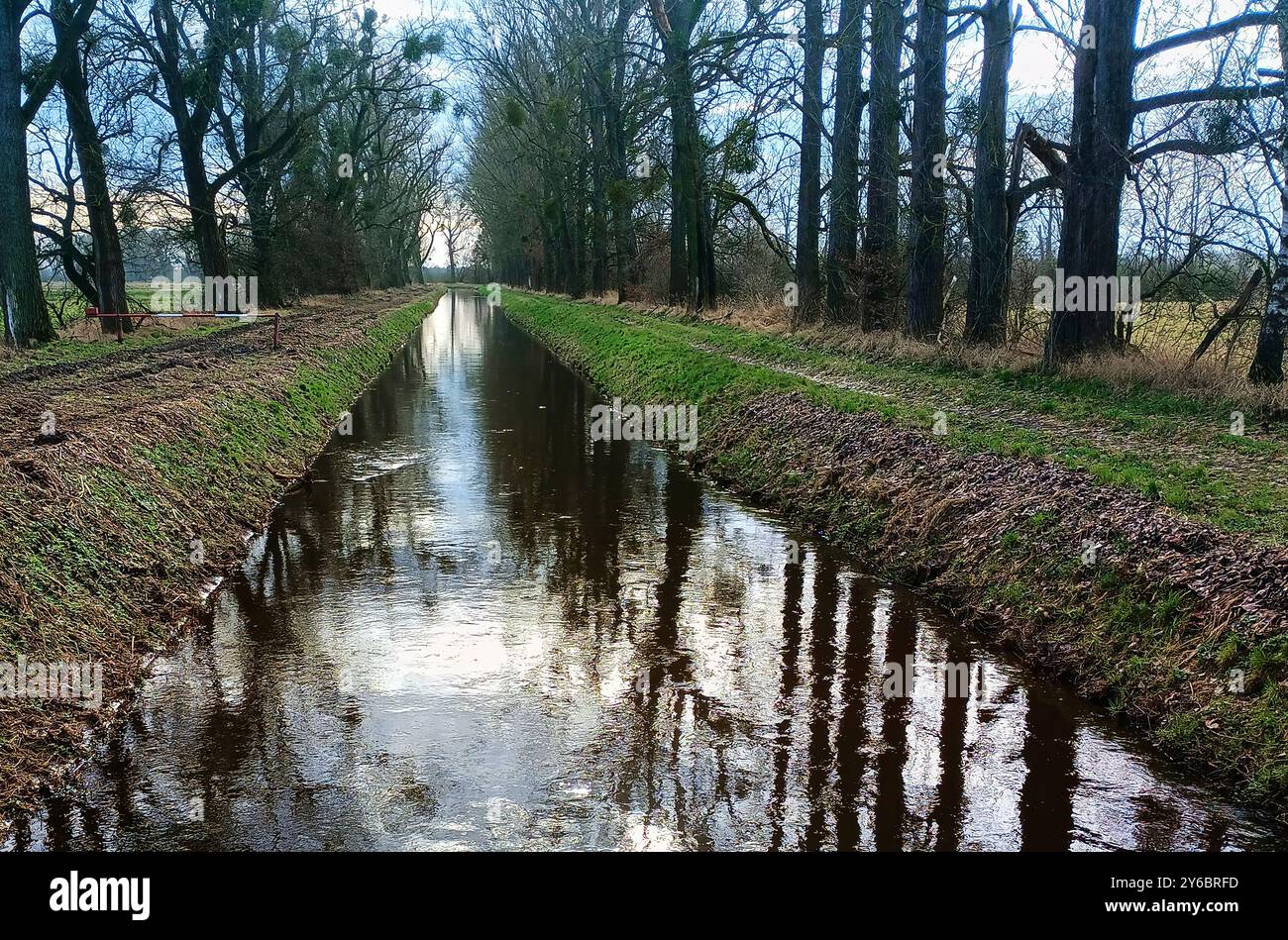 perfectly straight drainage ditch for lowering groundwater levels in ...