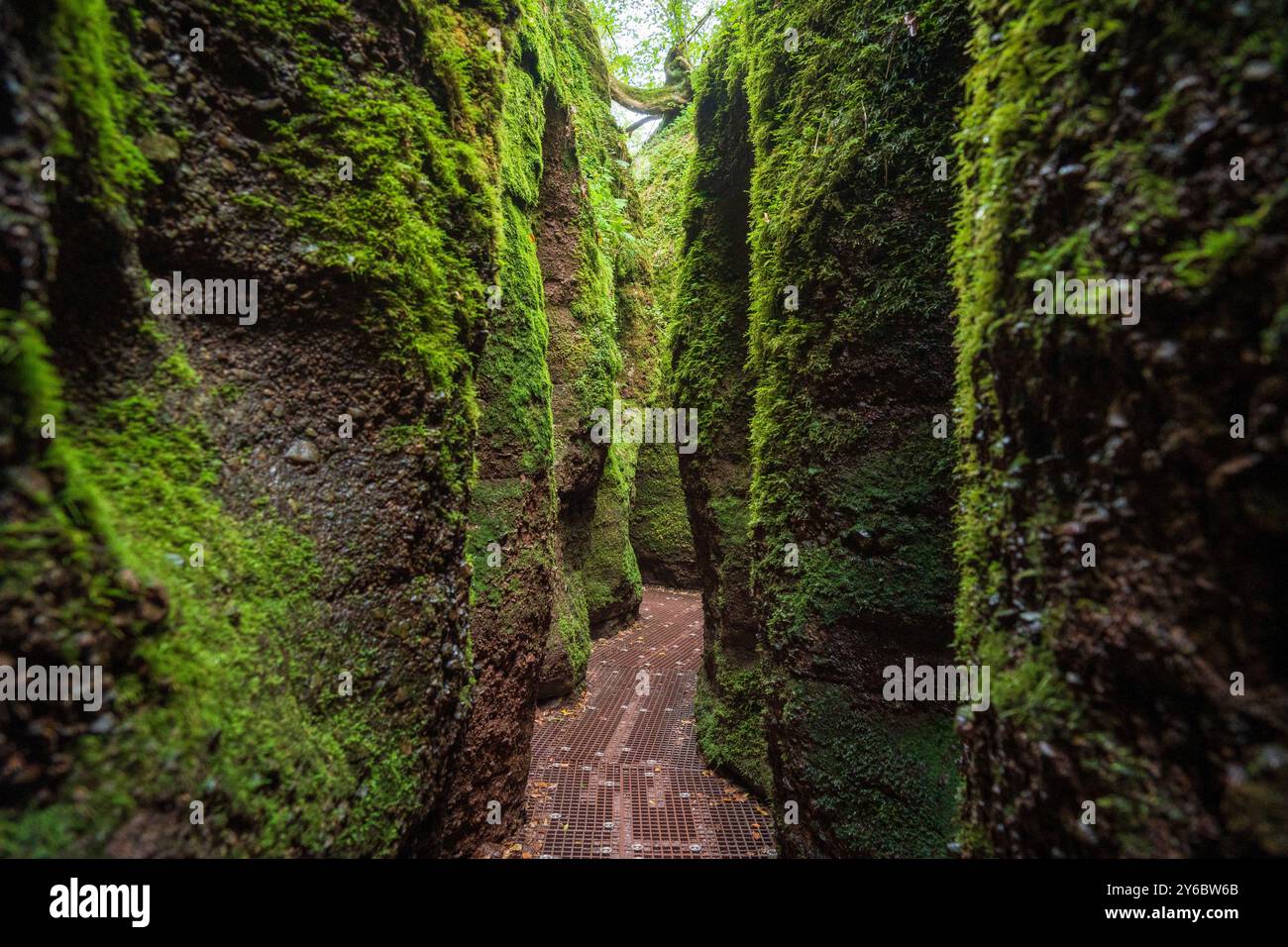 The Dragon Gorge, Hiking area in Eisenach, Thuringia, Germany Stock ...