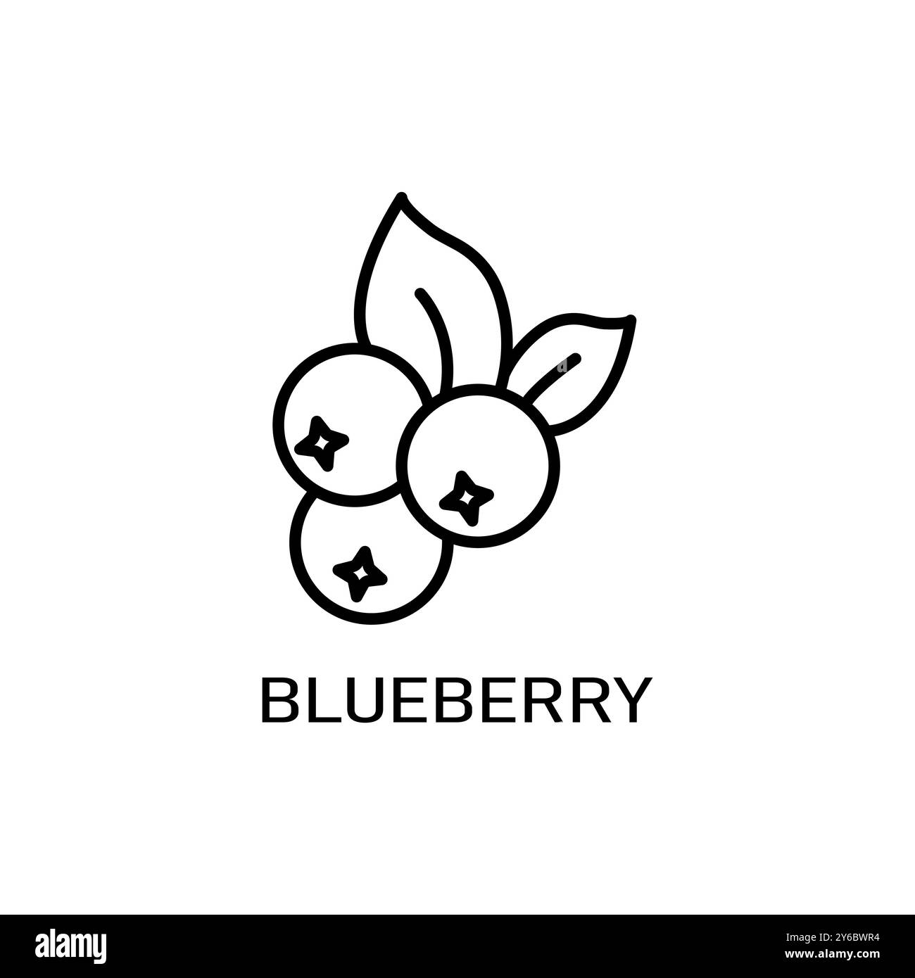Blueberry Vector Outline Icon Isolated On White Background Stock Vector ...