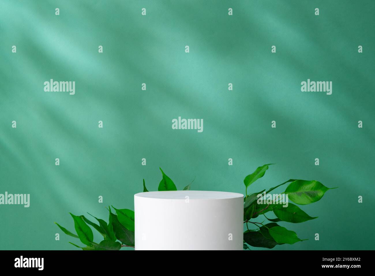 Minimalist display stand with green backdrop and foliage in a well-lit ...