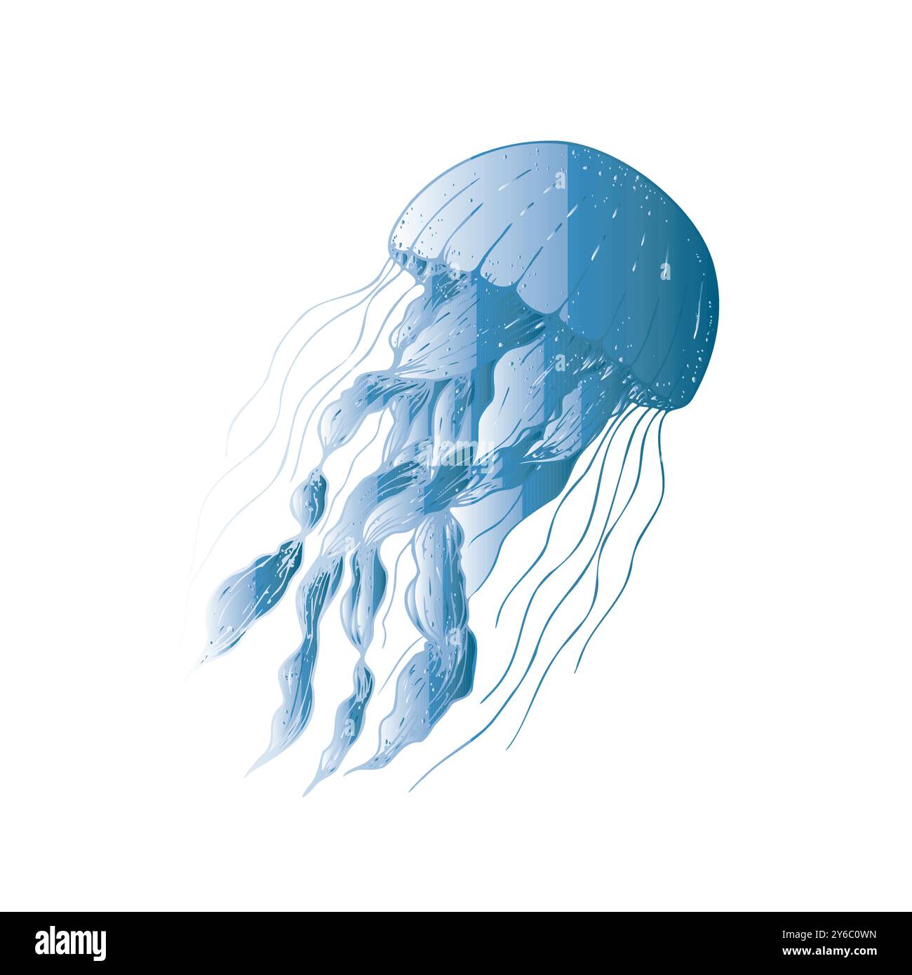 Vector beautiful jellyfish. Hand painted sketch. Graphic clip art ...