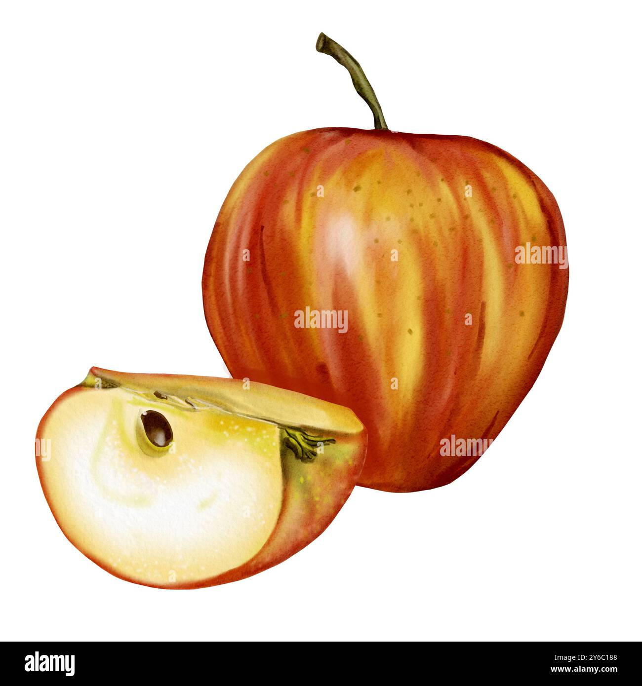 Composition with a red apple and a quarter of an apple. The pulp is ...