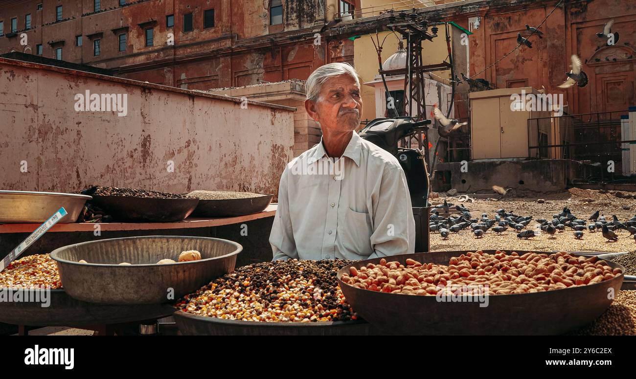 Jaipur, Rajasthan, India. Pigeons Fly In . Street Vendor Sells Bird ...