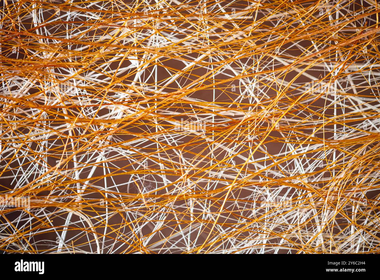 Natural background, texture, interweaving of beige and orange shrub ...