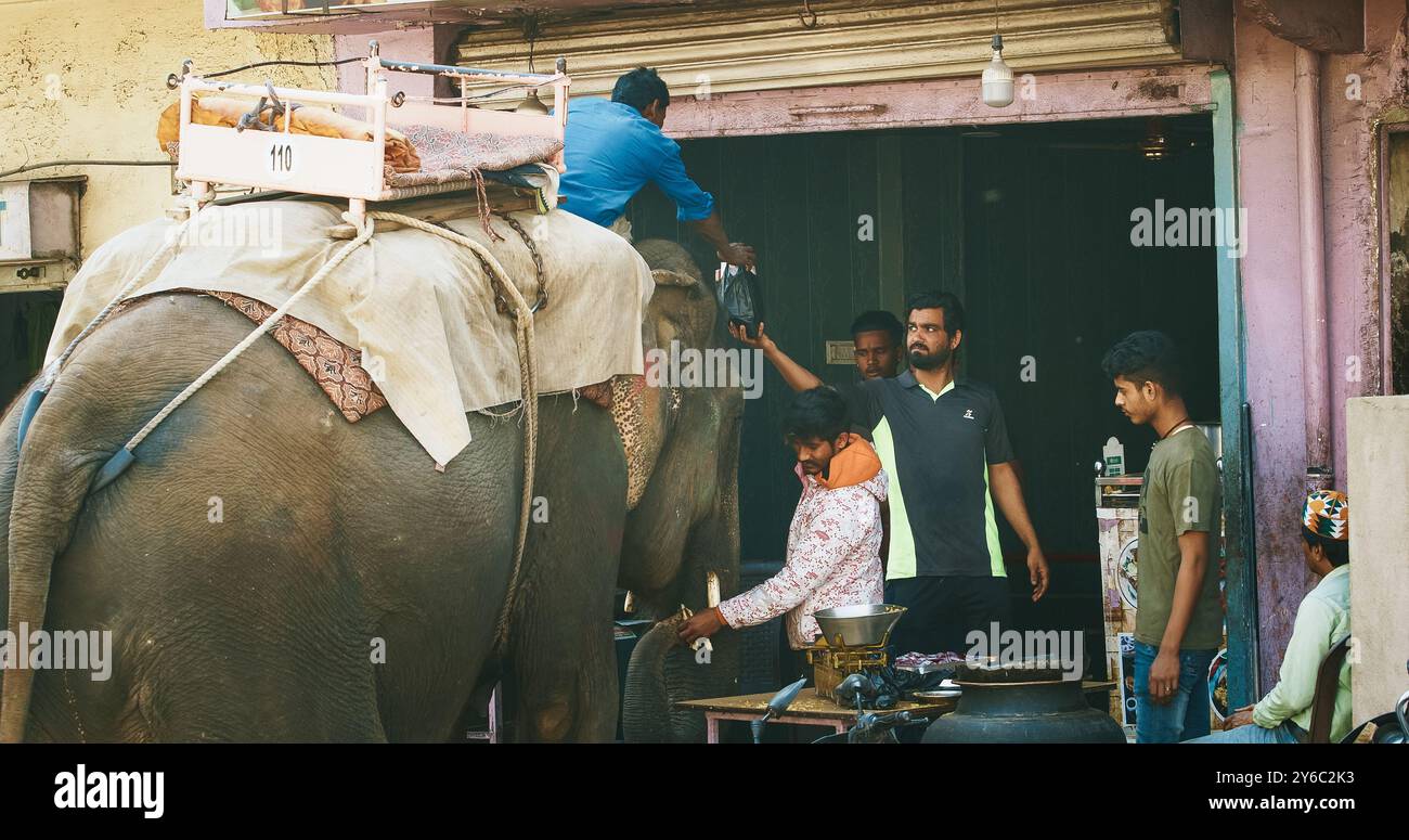 Amer, Rajasthan, India. An elephant driver visit street cafe shop Stock ...