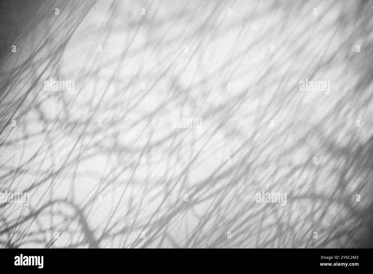 Close up background, bright white texture with floral shadows, perfect ...