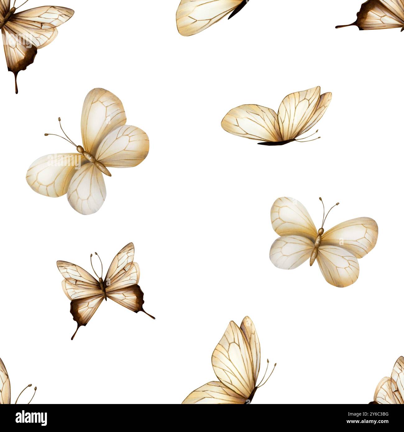 Botanical pattern clipart hi-res stock photography and images - Alamy