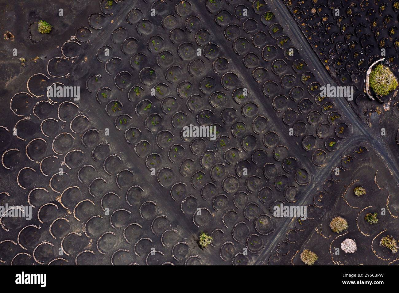 Vine pits hi-res stock photography and images - Alamy