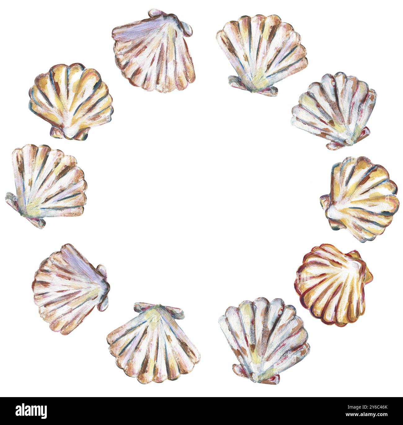 Acrylic hand drawn seashells wreath illustration, ocean shells ...