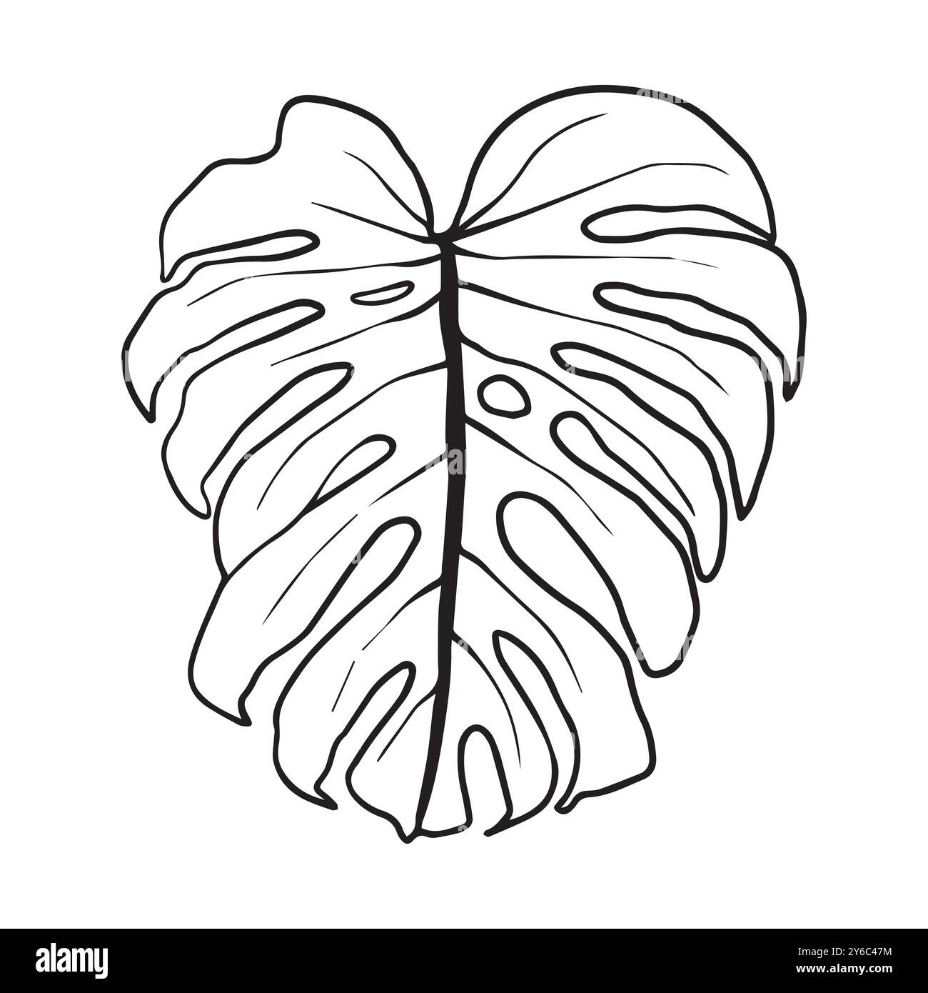 Black outline monstera sheet vector illustration. Isolated on a white ...