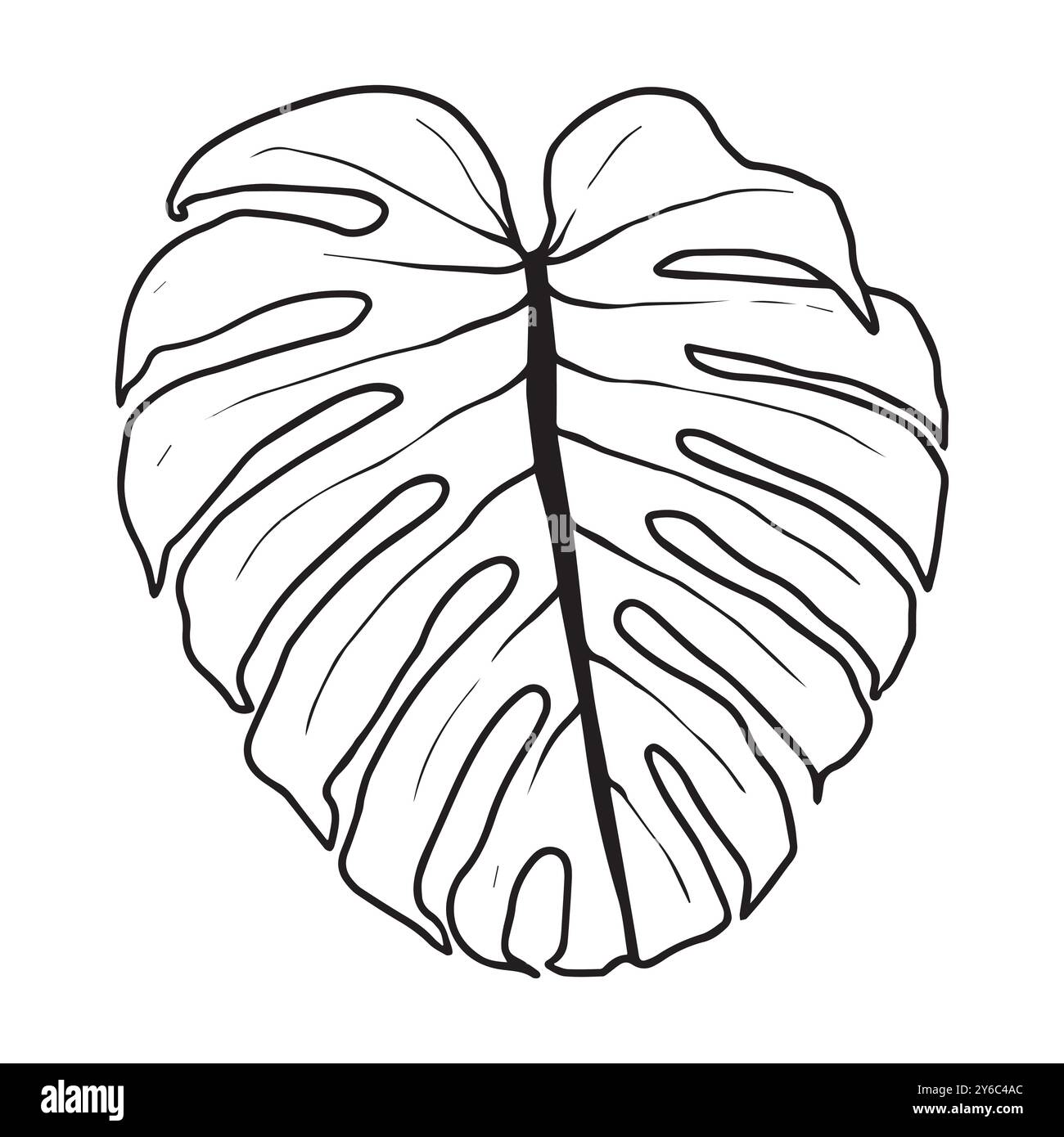 Black outline monstera sheet vector illustration. Isolated on a white ...