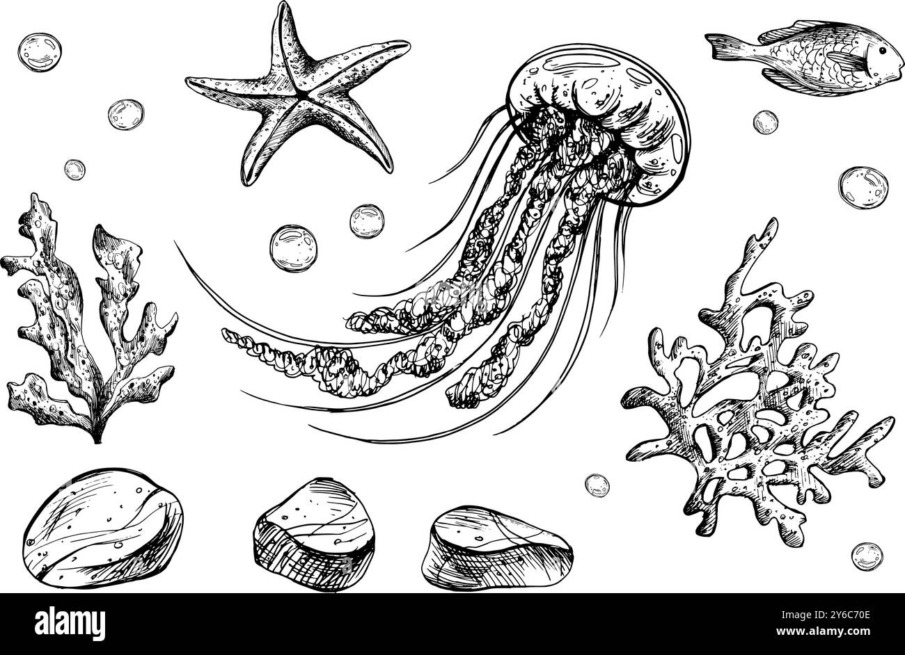 Jellyfish, shells, starfish, fish, bubbles, pebbles and other sea ...