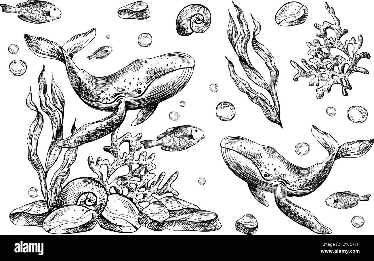 Underwater world clipart with sea animals whale, fishes, shells, coral ...