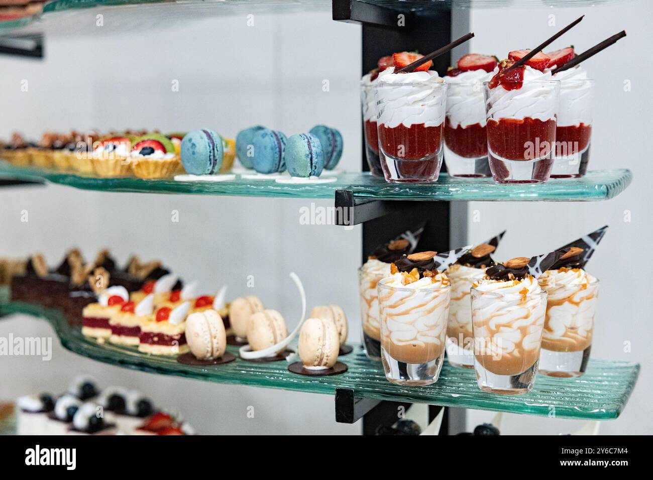 Different types of sweet desserts, mousses, biscuits. Candy bar mock up ...