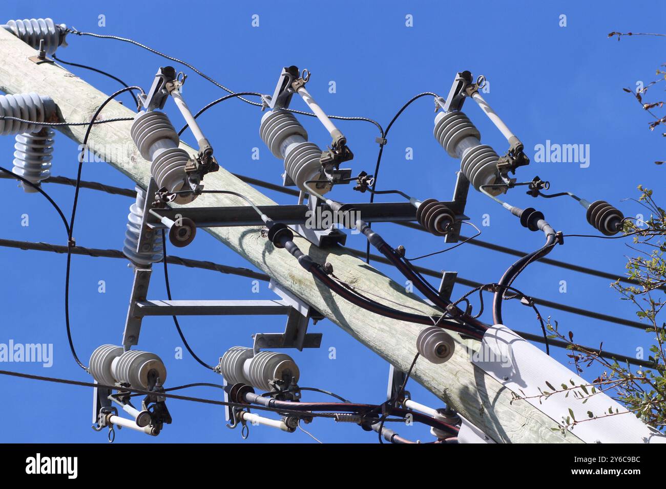 Wooden utility pole with electrical power lines and insulators against ...