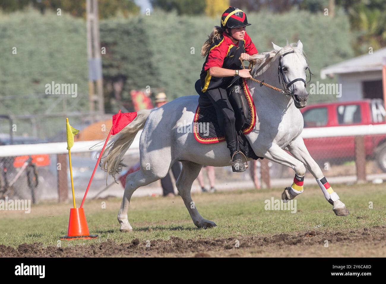 Rider competing in the Mounted Games at Hastings, New Zealand Stock ...