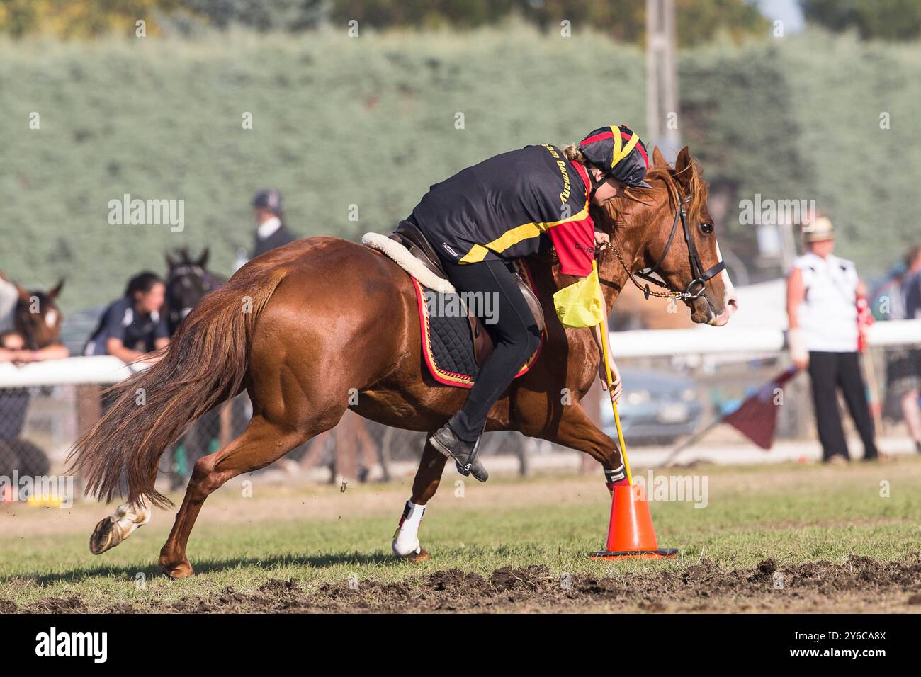 Rider competing in the Mounted Games at Hastings, New Zealand Stock ...
