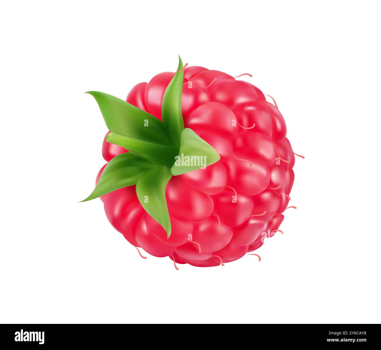 Realistic isolated 3d ripe raspberry berry fruit with vibrant, shiny ...
