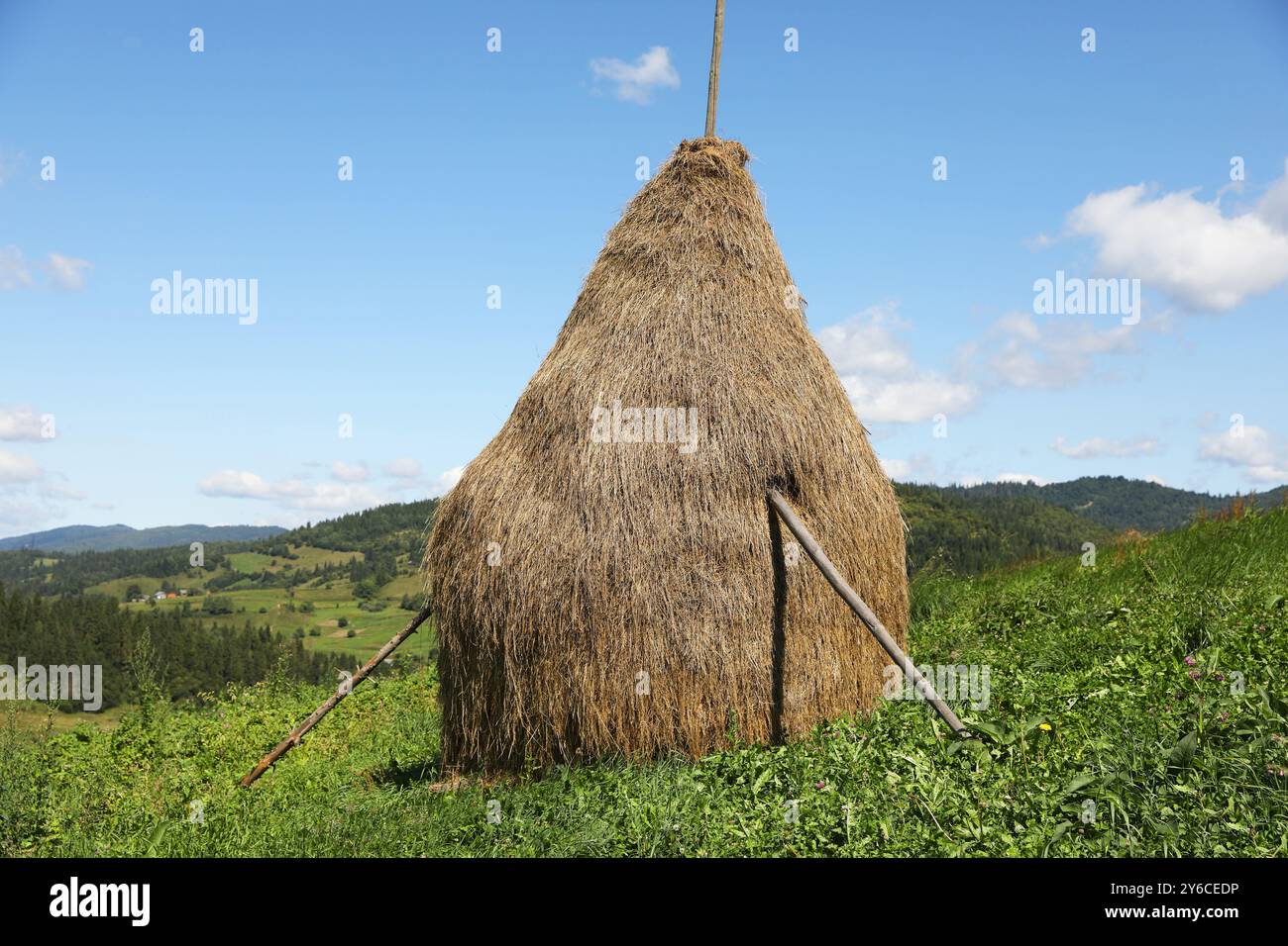 Pile of hay on field under blue sky Stock Photo - Alamy