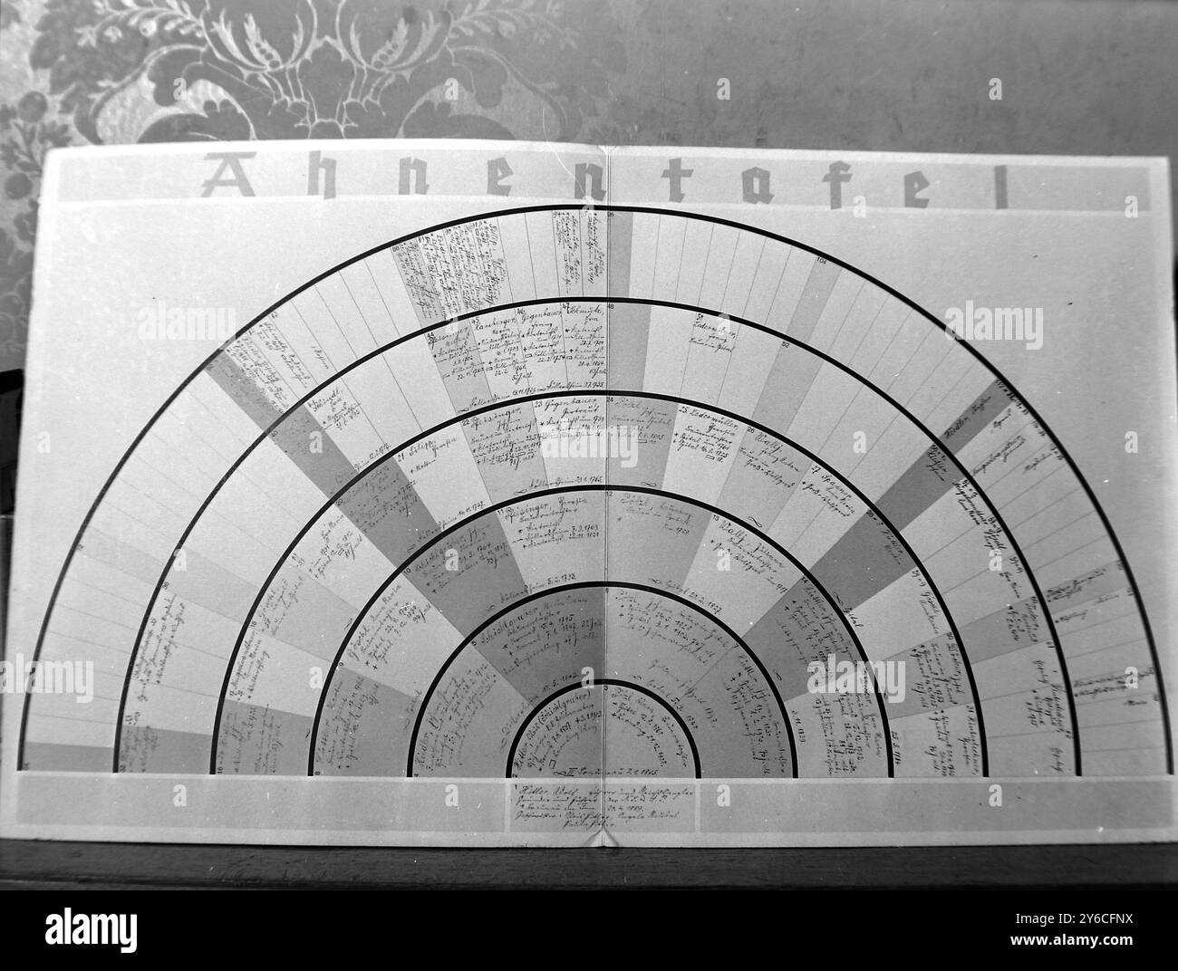 MANUSCRIPTS FAMILY TREE OF HITLER AUCTIONED IN LONDON ; 19 DECEMBER ...