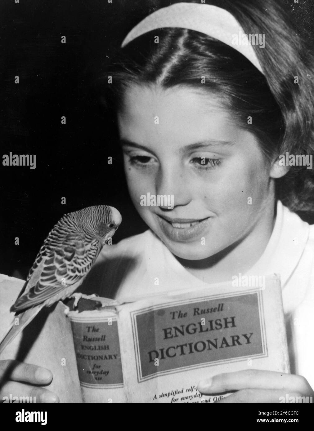 English bird photo Black and White Stock Photos & Images - Alamy