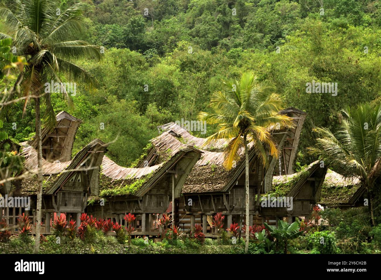 Granaries built in traditional tongkonan architecture in Kete Kesu ...
