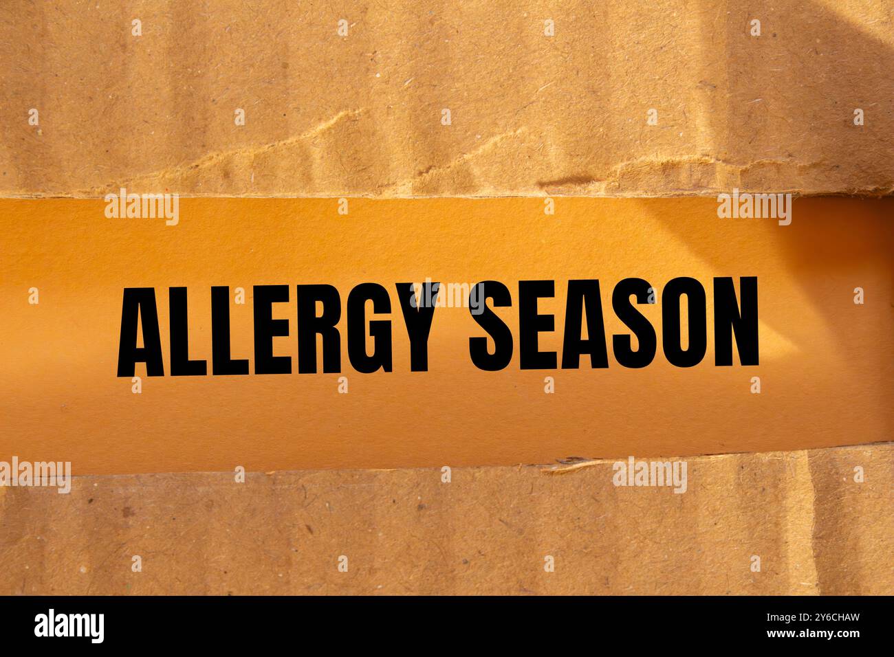 Allergy season message written on ripped torn cardboard paper with ...