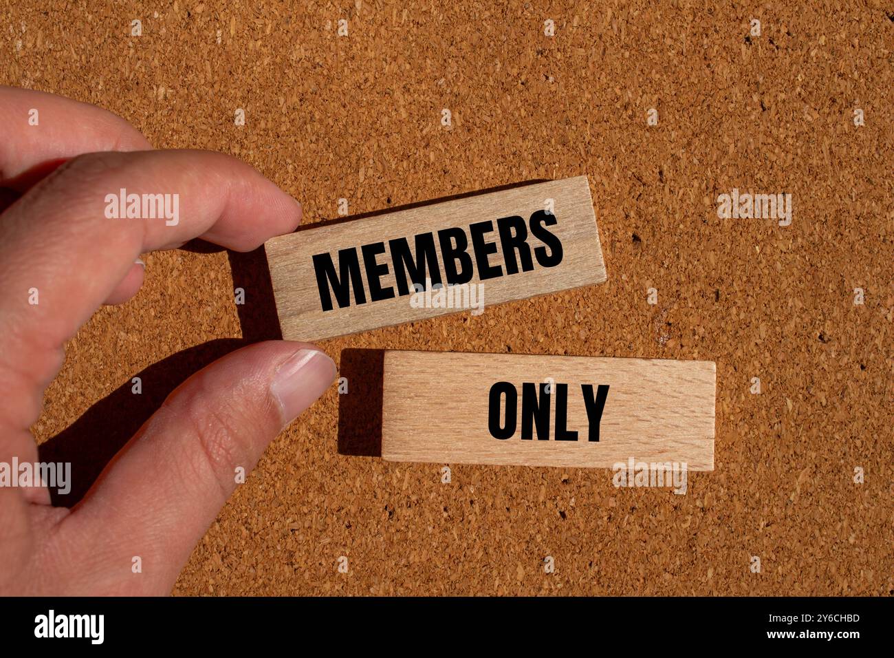 Members only message written on wooden blocks with brown background ...