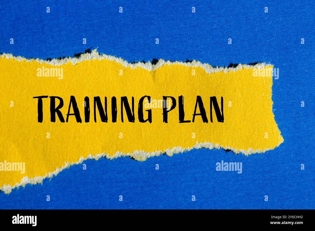 Training plan message written on ripped torn yellow paper with blue background. Conceptual ...